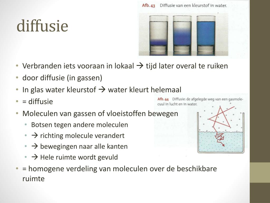 PPT - Stoffentransport tussen cellen en hun omgeving PowerPoint ...