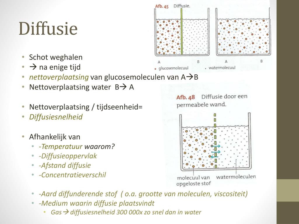 PPT - Stoffentransport tussen cellen en hun omgeving PowerPoint ...