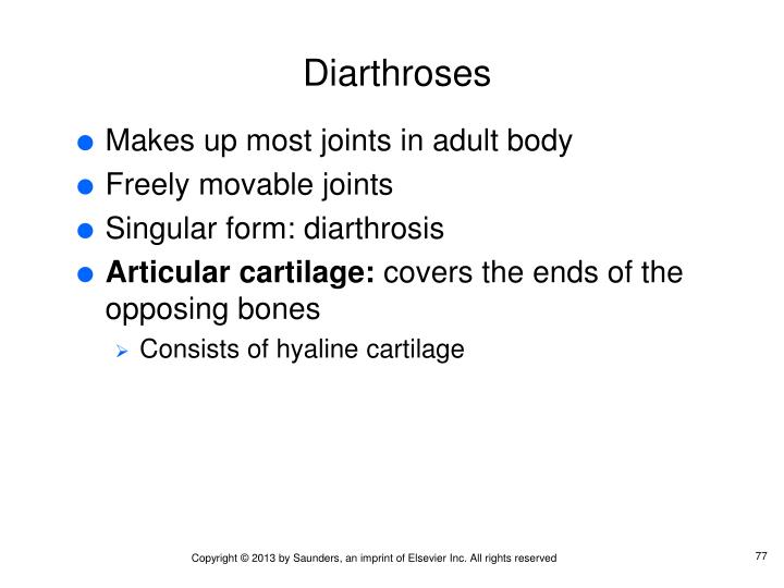 PPT - Chapter 07 Skeletal System PowerPoint Presentation - ID:1973779