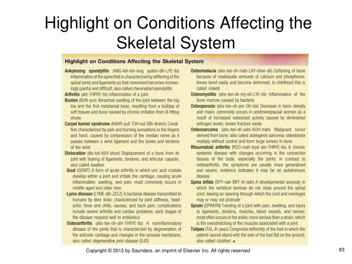 PPT - Chapter 07 Skeletal System PowerPoint Presentation - ID:1973779