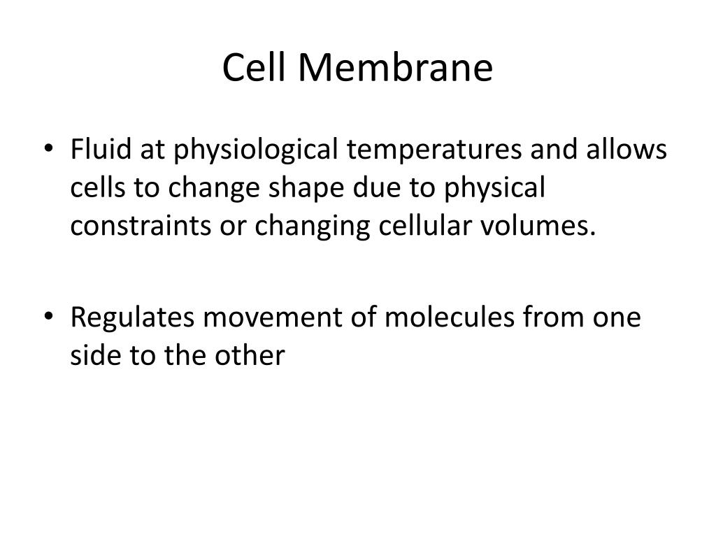 PPT - The Cell Membrane and Transport Across the Cell Membrane ...
