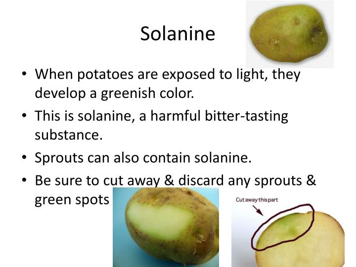PPT - Chapter 11 Potatoes and Grains PowerPoint Presentation - ID:1974343