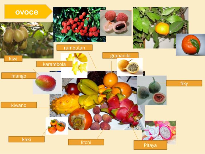 PPT - subTropický pás PowerPoint Presentation - ID:1974383