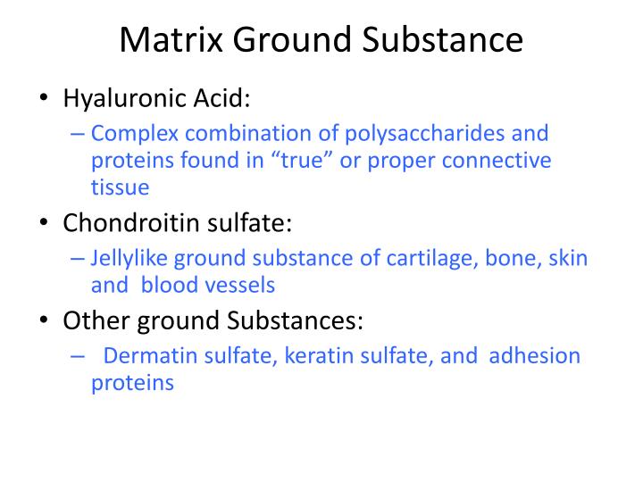 PPT - Connective Tissue PowerPoint Presentation - ID:1974907