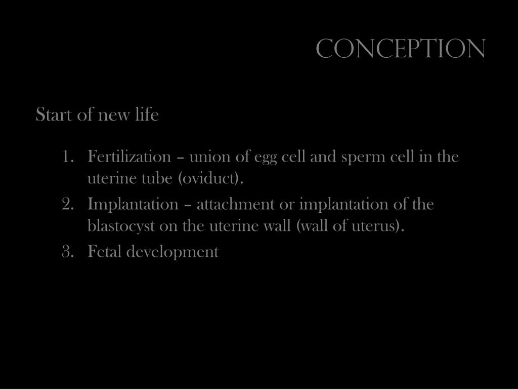 PPT - The FEMALE REPRODUCTIVE Physiology PowerPoint Presentation, free ...