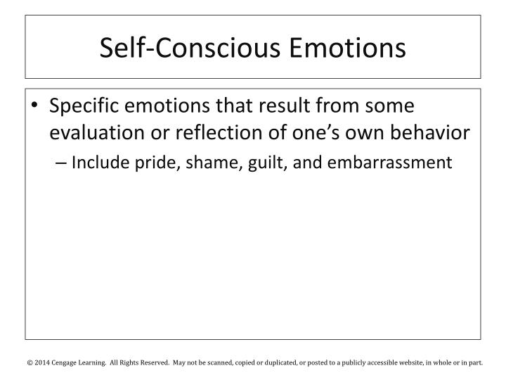 PPT - Chapter 5 Motivation and Emotion: Driving Consumer Behavior ...