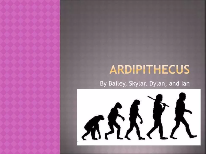 PPT - Ardipithecus PowerPoint Presentation, free download - ID:1975095