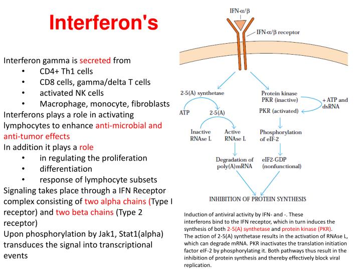 PPT - Immune Response to Infectious Diseases PowerPoint Presentation ...