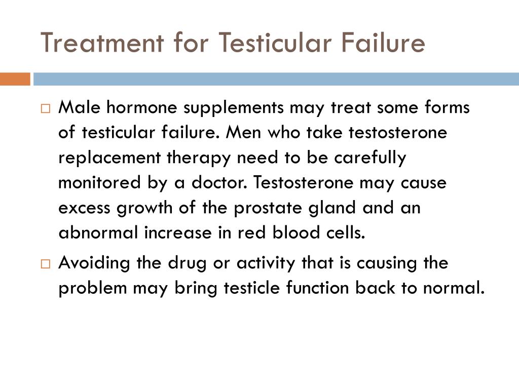 PPT - Male Gonads (Testes) PowerPoint Presentation, free download - ID ...