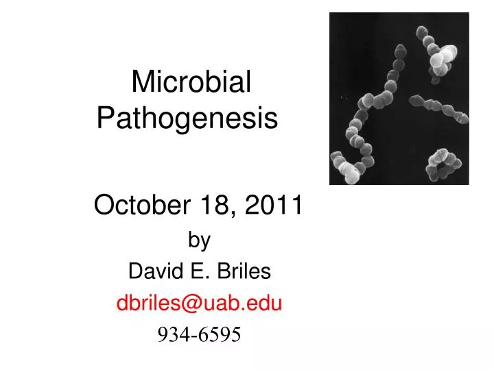 PPT - Microbial Pathogenesis PowerPoint Presentation, free download ...