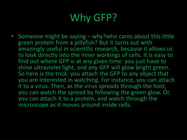 PPT - GFP ( Green fluorescent protein) by Kitija Kaulina PowerPoint ...