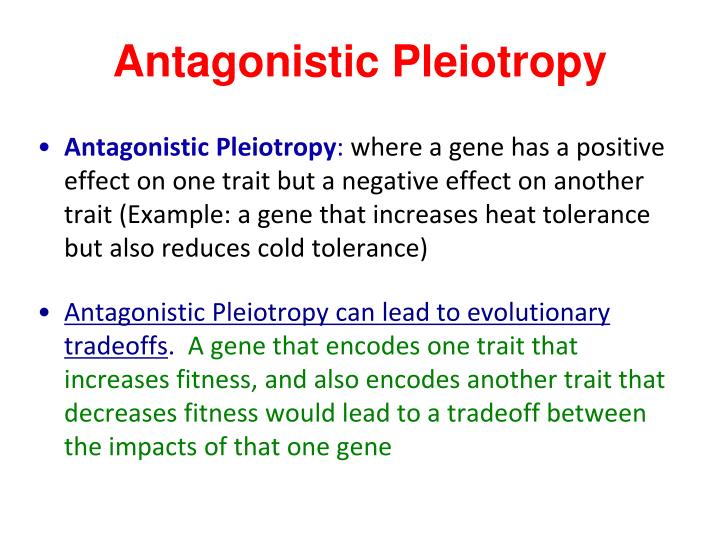 PPT - Constraints on Natural Selection and Evolutionary Tradeoffs ...