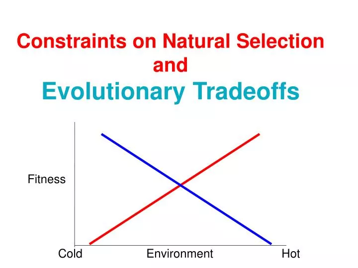 PPT - Constraints on Natural Selection and Evolutionary Tradeoffs ...