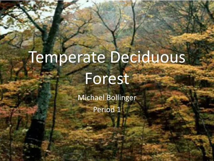 PPT - Temperate Deciduous Forest PowerPoint Presentation, free download - ID:1976276