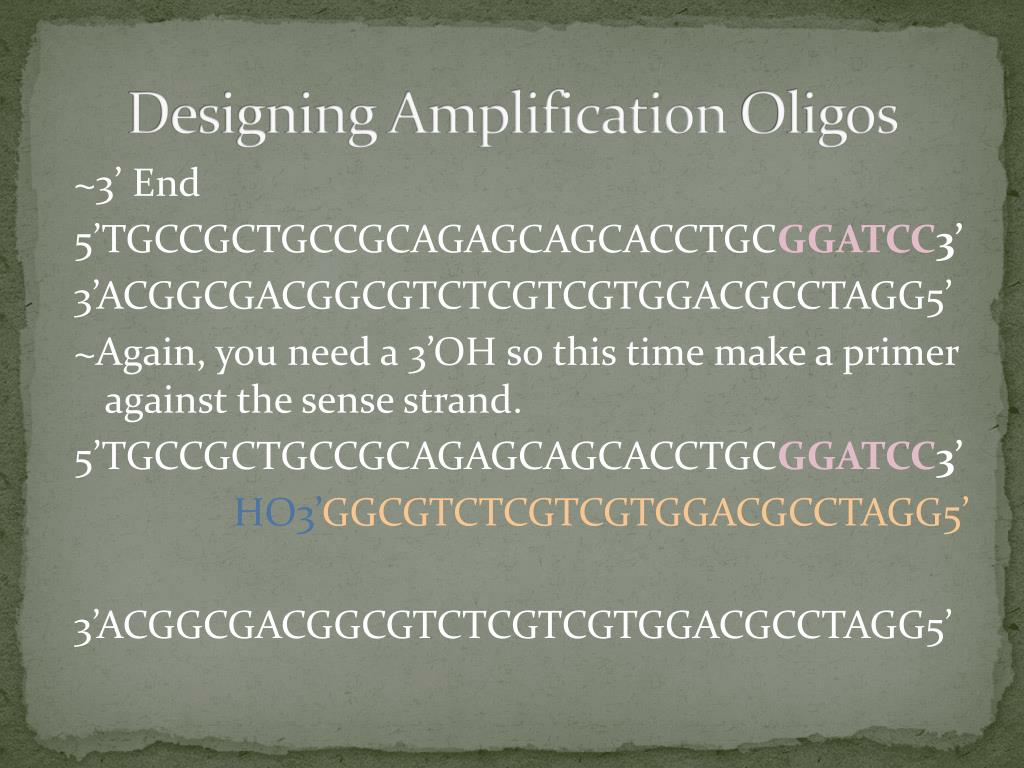 PPT - Codon Optimization PowerPoint Presentation, free download - ID ...