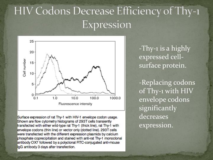 PPT - Codon Optimization PowerPoint Presentation - ID:1976485