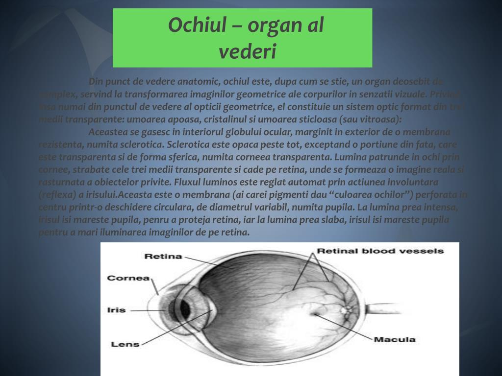 PPT - Ochiul – organ al vederi PowerPoint Presentation, free download ...