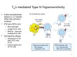 PPT - Antibody-Mediated Cytotoxicity ( Type II)Hypersensitivity 3 ...