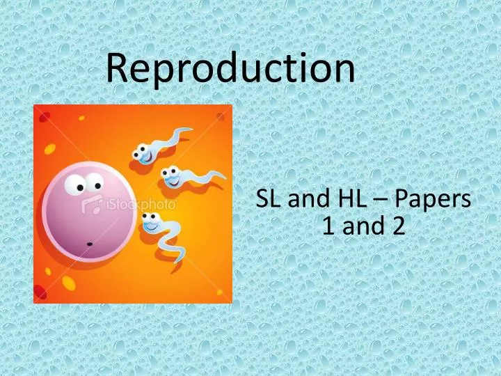 PPT - Reproduction PowerPoint Presentation, free download - ID:1977301
