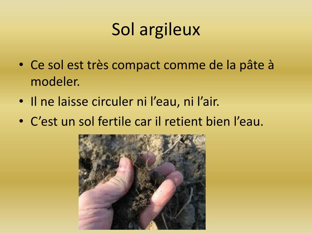 PPT - Les types de sols. PowerPoint Presentation, free download - ID ... PPT - Les types de sols. PowerPoint Presentation, free download - ID ...