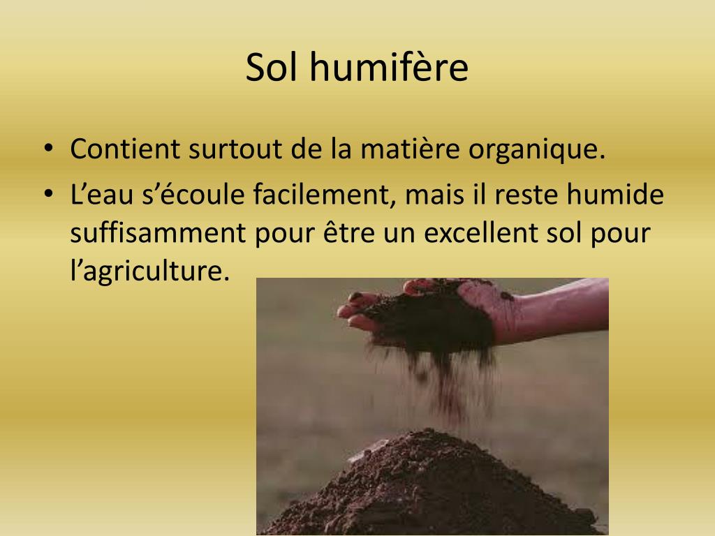 PPT - Les types de sols. PowerPoint Presentation, free download - ID ... PPT - Les types de sols. PowerPoint Presentation, free download - ID ...