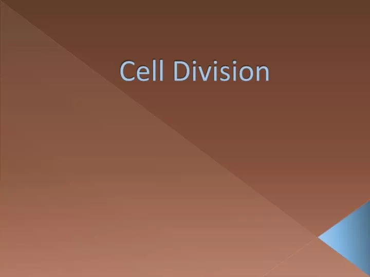 PPT - Cell Division PowerPoint Presentation, free download - ID:1977394