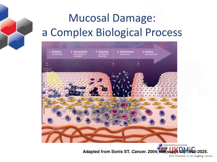 PPT - Managing Mucositis Dr B arry Quinn RN Macmillan Consultant Lead ...