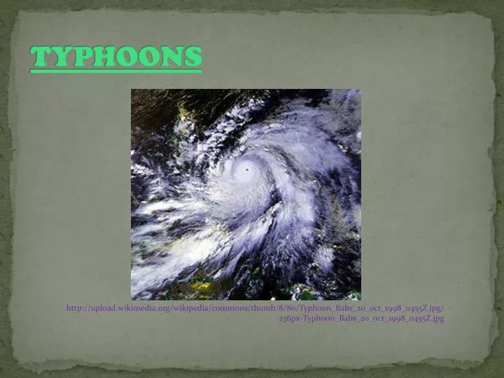 PPT - TYPHOONS PowerPoint Presentation, free download - ID:1977775