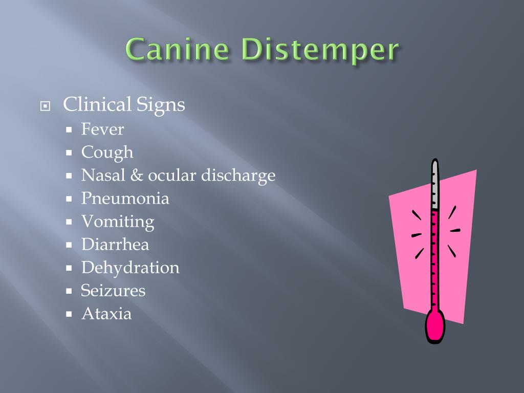 PPT - Pansystemic Diseases PowerPoint Presentation, free download - ID ...