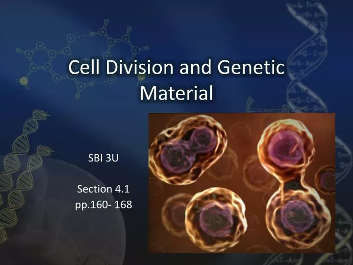 PPT - Cell Division and Genetic Material PowerPoint Presentation, free ...