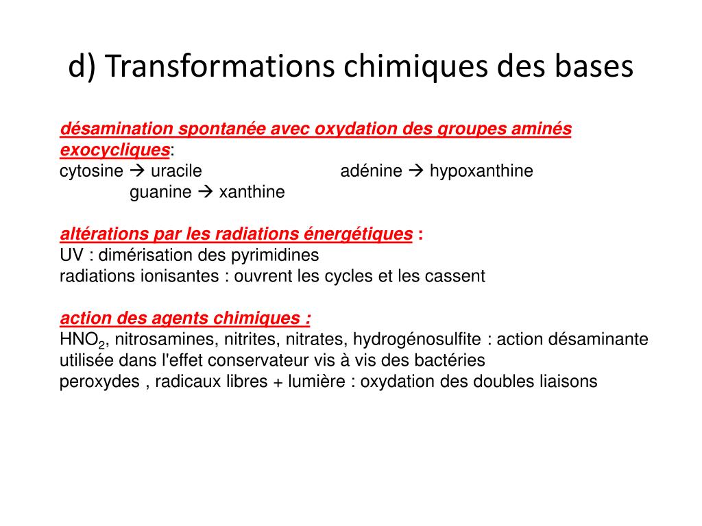 PPT - Les bases azotées et leurs dérivés nucléotidiques PowerPoint ...