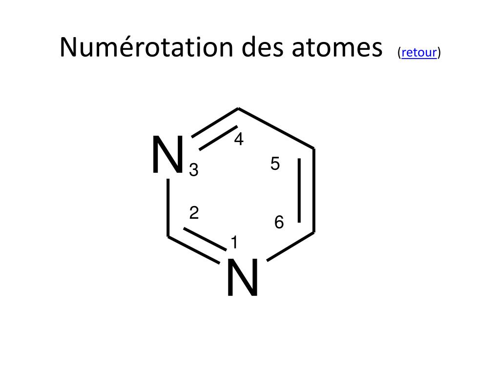 PPT - Les bases azotées et leurs dérivés nucléotidiques PowerPoint ...