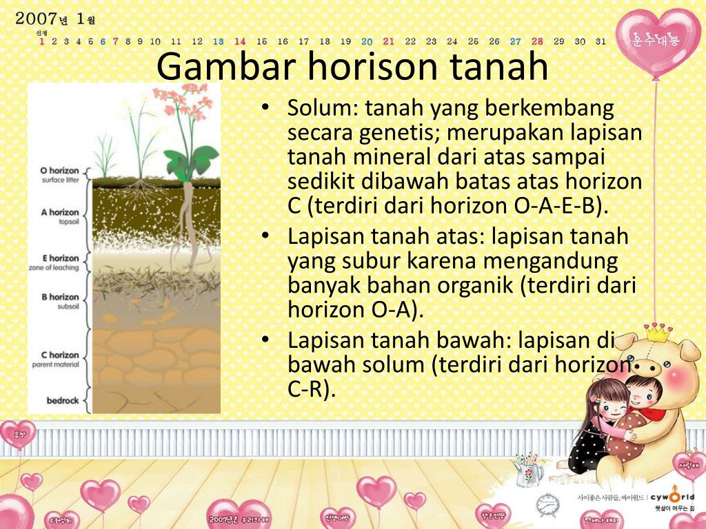 PPT - SIFAT-SIFAT FISIK DAN MORFOLOGI TANAH PowerPoint Presentation ...
