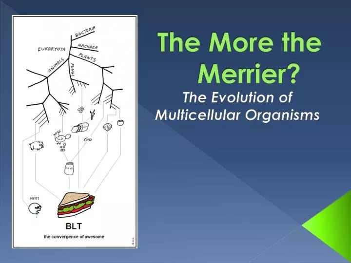 PPT - The More the Merrier? PowerPoint Presentation, free download - ID ...