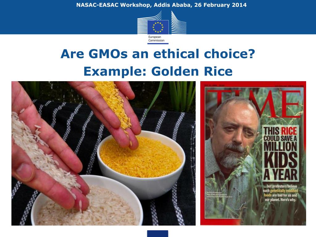 PPT - Agricultural biotechnology in Europe and Africa PowerPoint ...