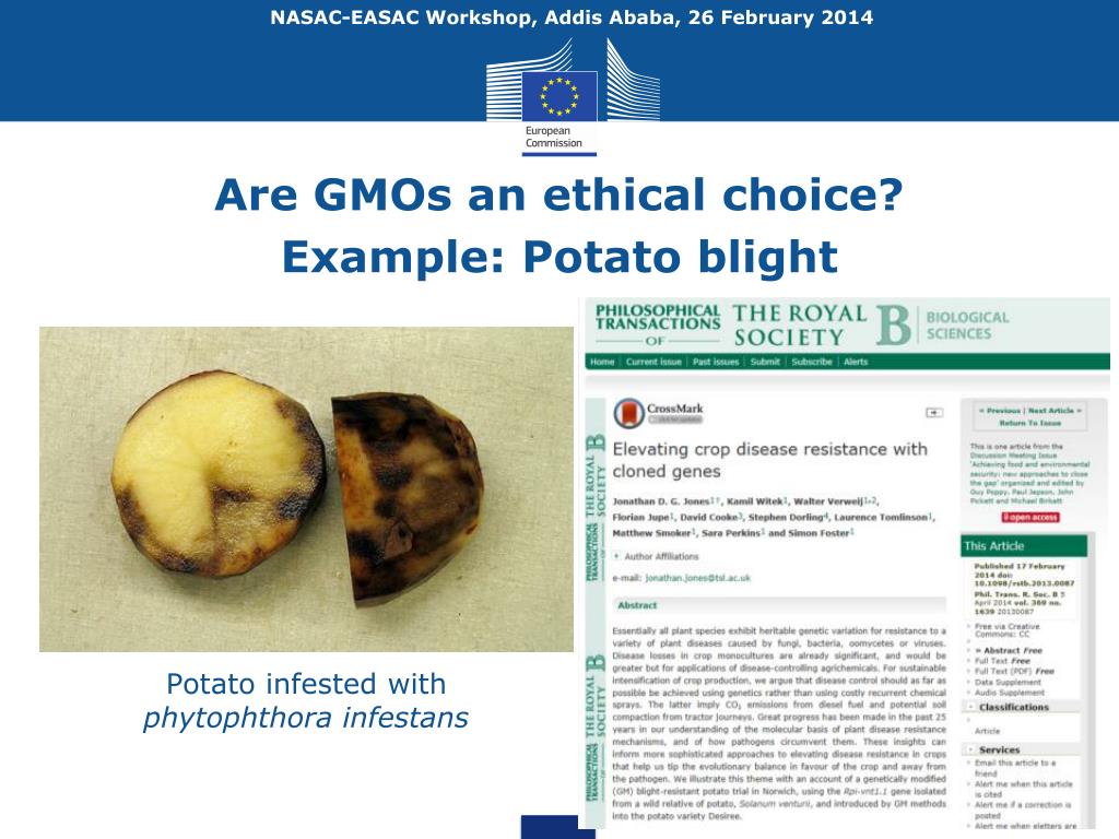 PPT - Agricultural biotechnology in Europe and Africa PowerPoint ...