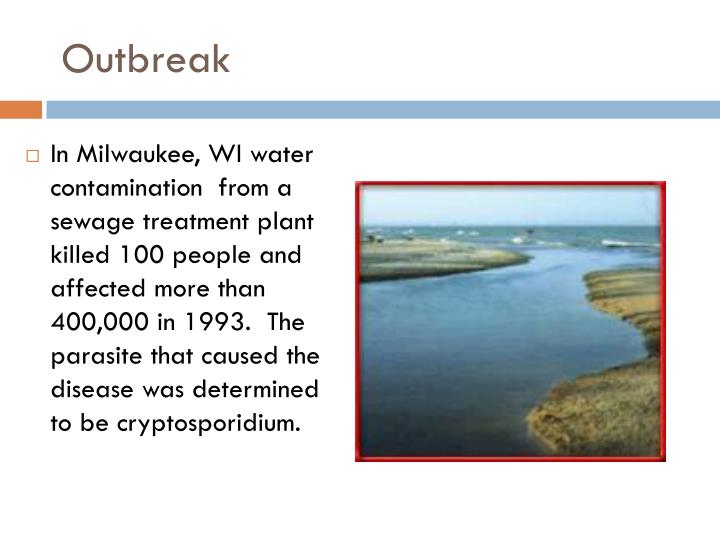 PPT - Cryptosporidium sp PowerPoint Presentation - ID:1978212
