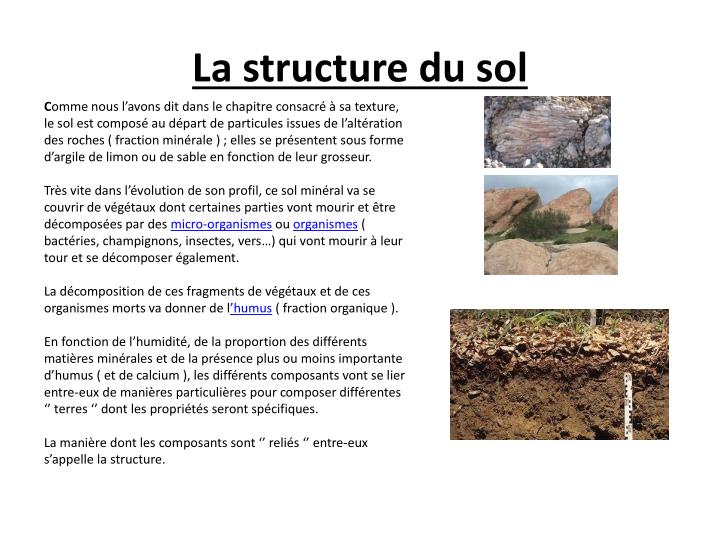 PPT - Les sols PowerPoint Presentation - ID:1978222