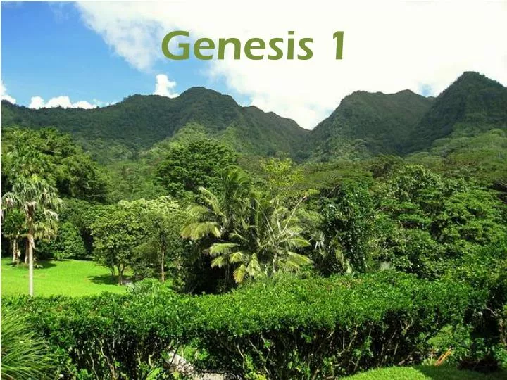 PPT - Genesis 1 PowerPoint Presentation, free download - ID:1978426