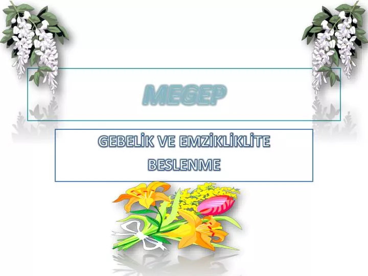 PPT - MEGEP PowerPoint Presentation, free download - ID:1978516