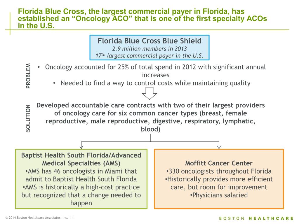 PPT - Florida Blue Cross Blue Shield 2.9 million members in 2013 ...