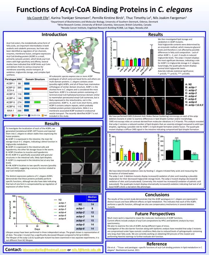 PPT - Functions of Acyl-CoA Binding Proteins in C. elegans PowerPoint ...