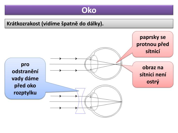 PPT - Oko PowerPoint Presentation - ID:1979005