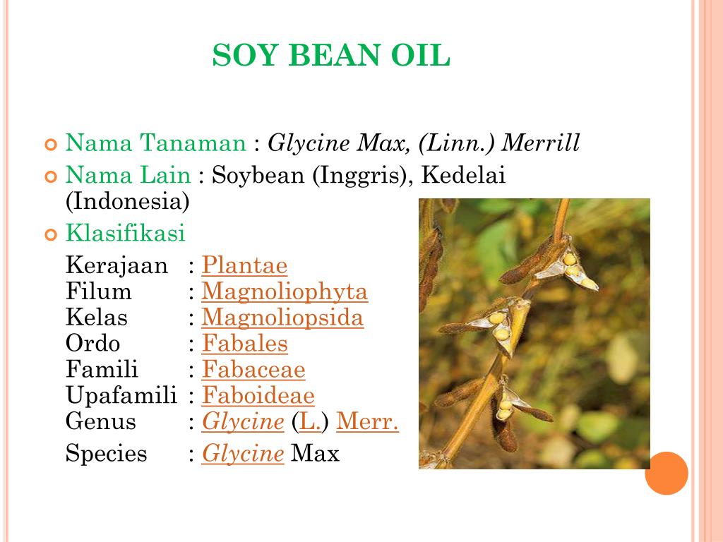 PPT - LIPID ( SOY BEAN OIL; OLEUM GOSSYPII SEMINIS, COTTONSEED OIL ...