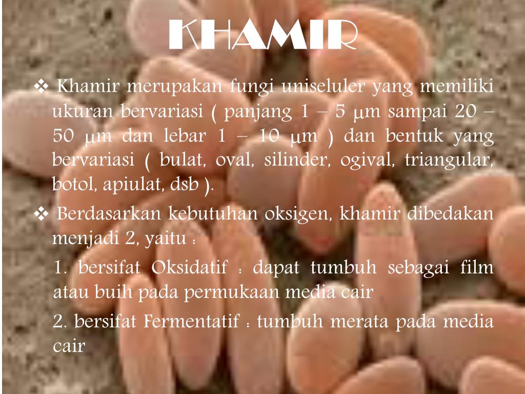 PPT - REMIDI PRAKTIKUM BIOINDUSTRI “ PENGAMATAN DAN PERHITUNGAN ...