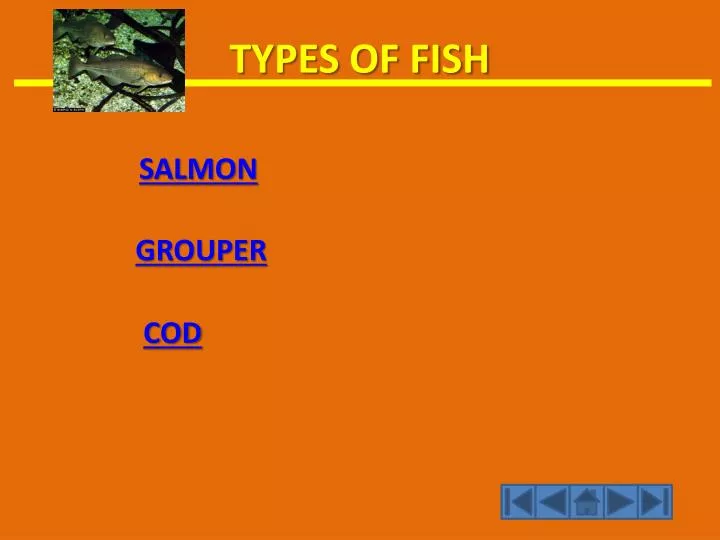 PPT - TYPES OF FISH PowerPoint Presentation, free download - ID:1979889