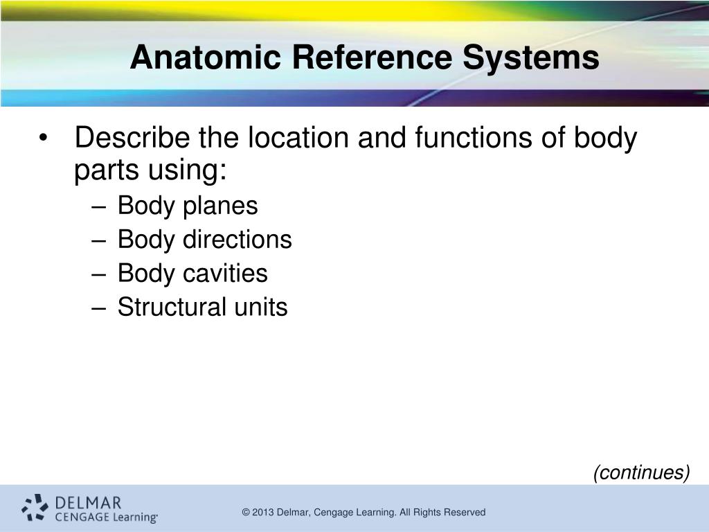 PPT - The Human Body in Health and Disease PowerPoint Presentation ...