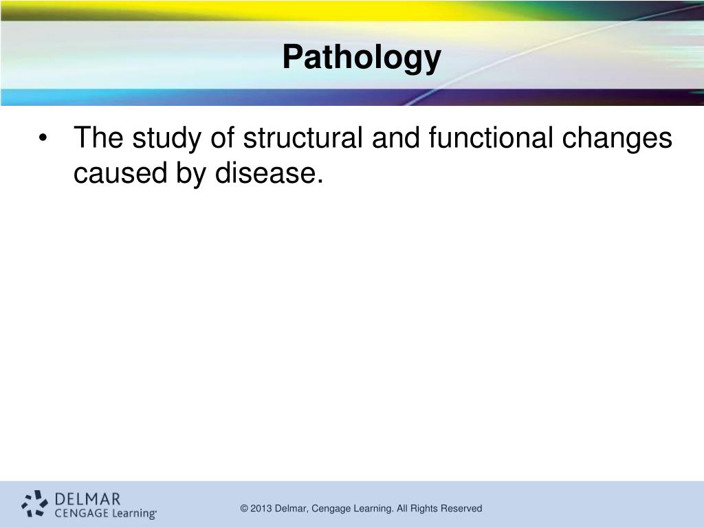 PPT - The Human Body in Health and Disease PowerPoint Presentation ...
