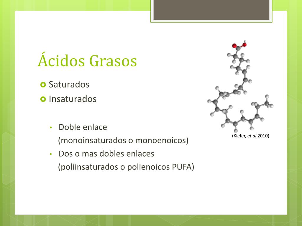 PPT - ACIDOS GRASOS POLIINSATURADOS PowerPoint Presentation, free ...