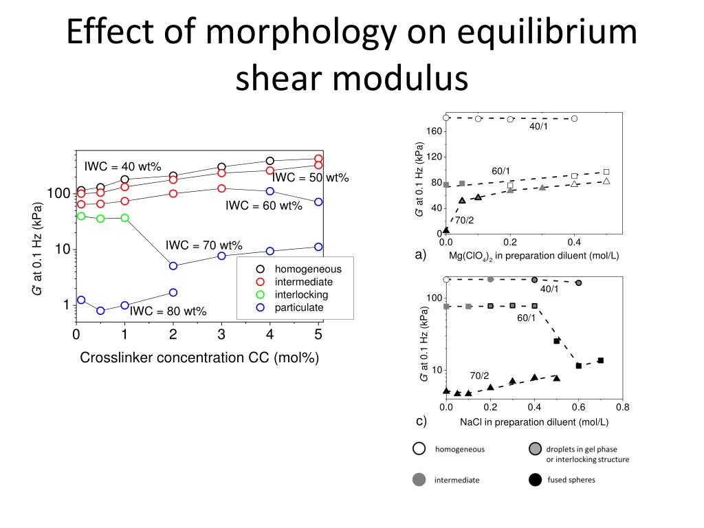 PPT - Morphology Assessment of Polymer Hydrogels Through Multivariate ...